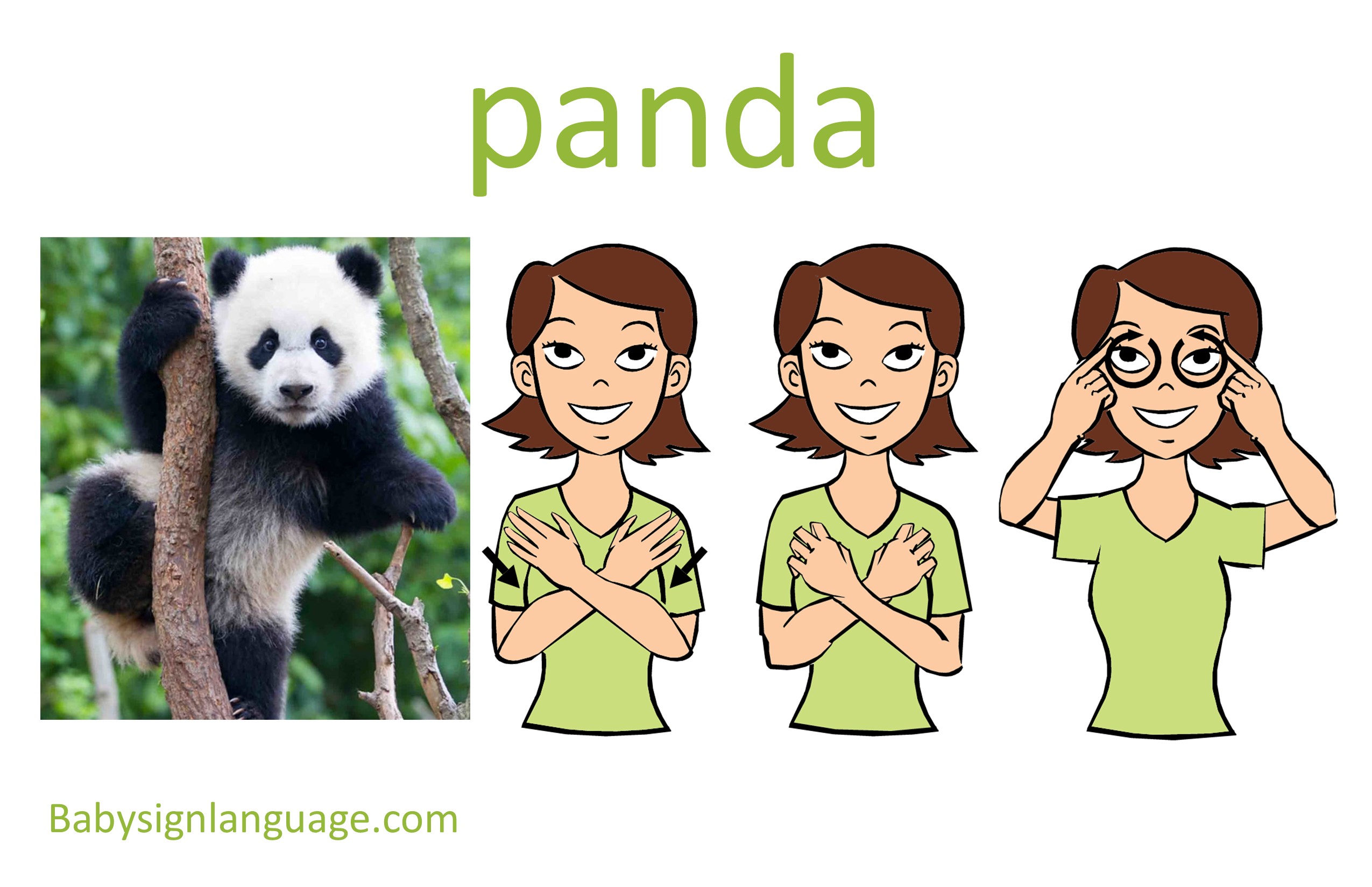 Panda Storytime – Fun for Children at the Library